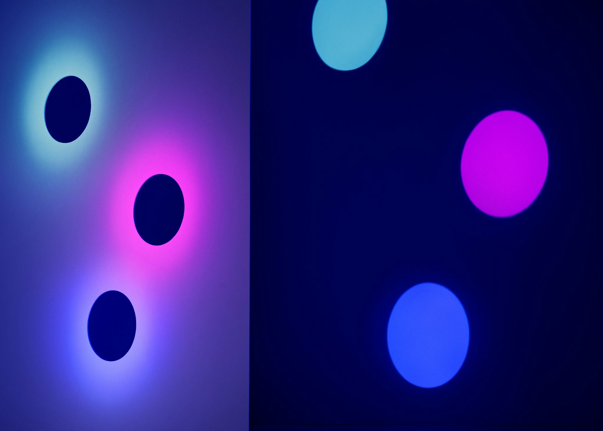 Olink Flex — Olink®