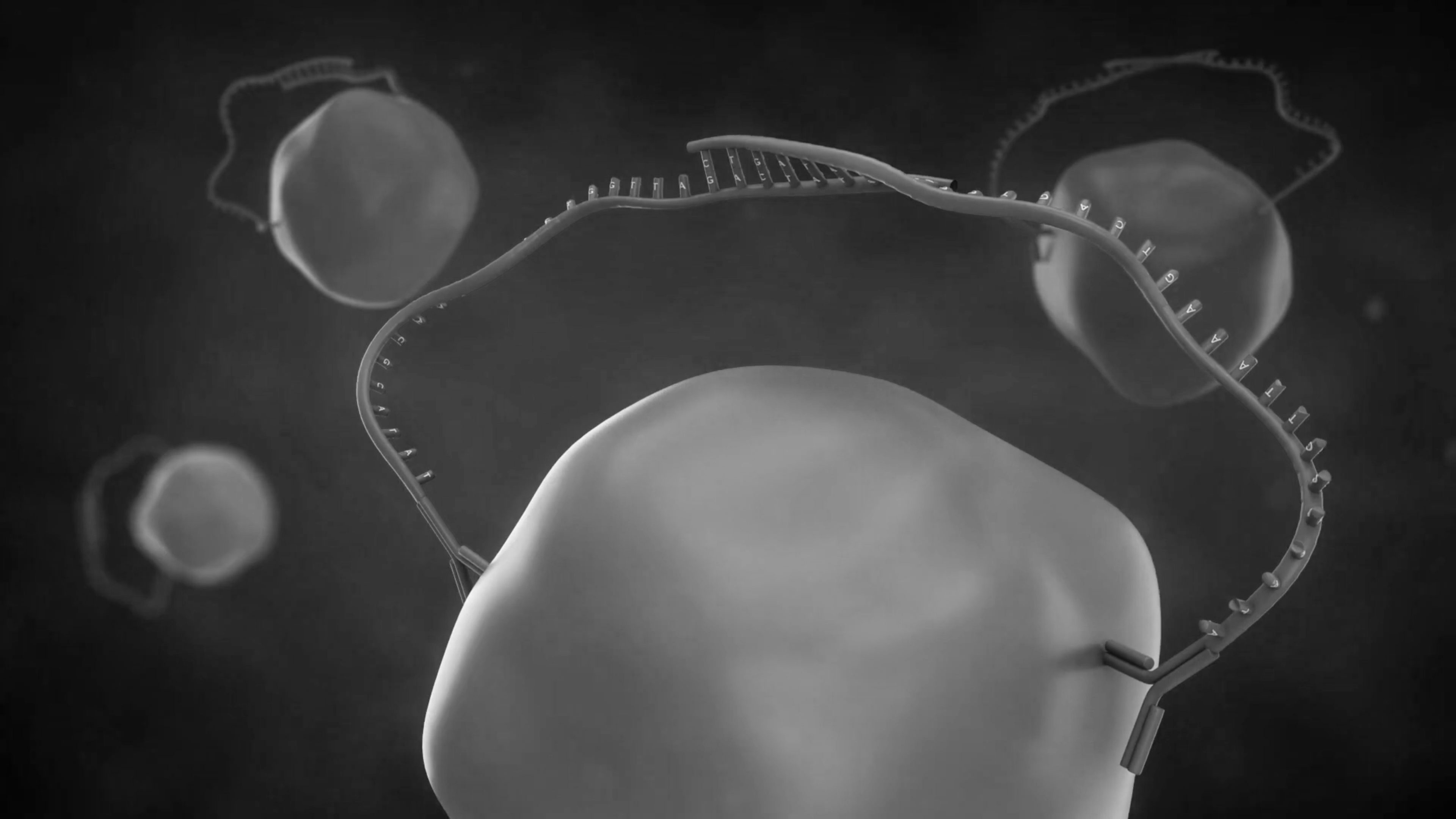 How Pea Technology Works — Olink®